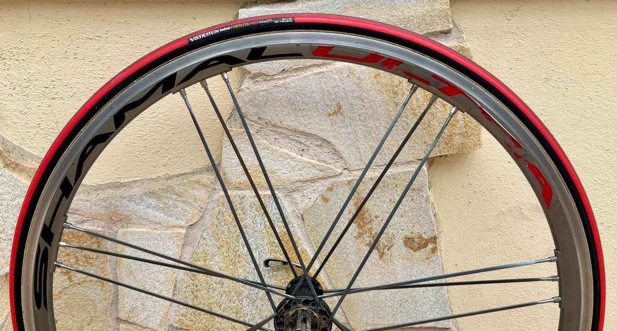 Campagnolo Shamal Ultra Wheelset for Tubular – Mastroianni Classic Bikes